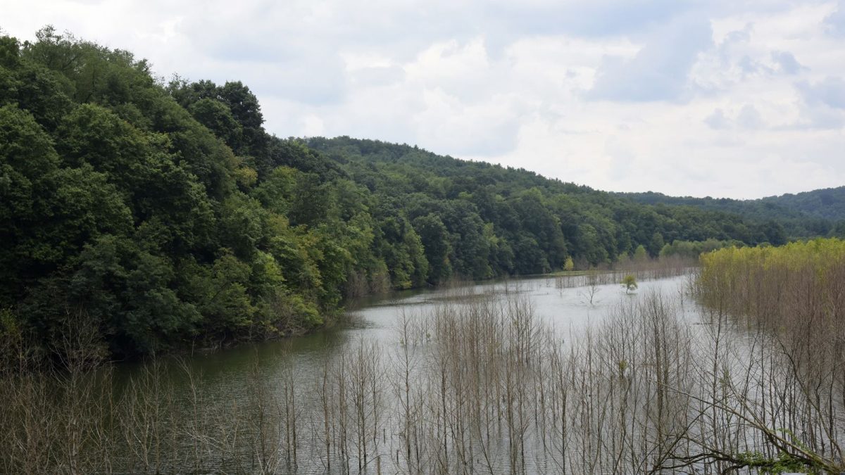 Issues facing Dutch Fork Lake to be discussed - Observer-Reporter